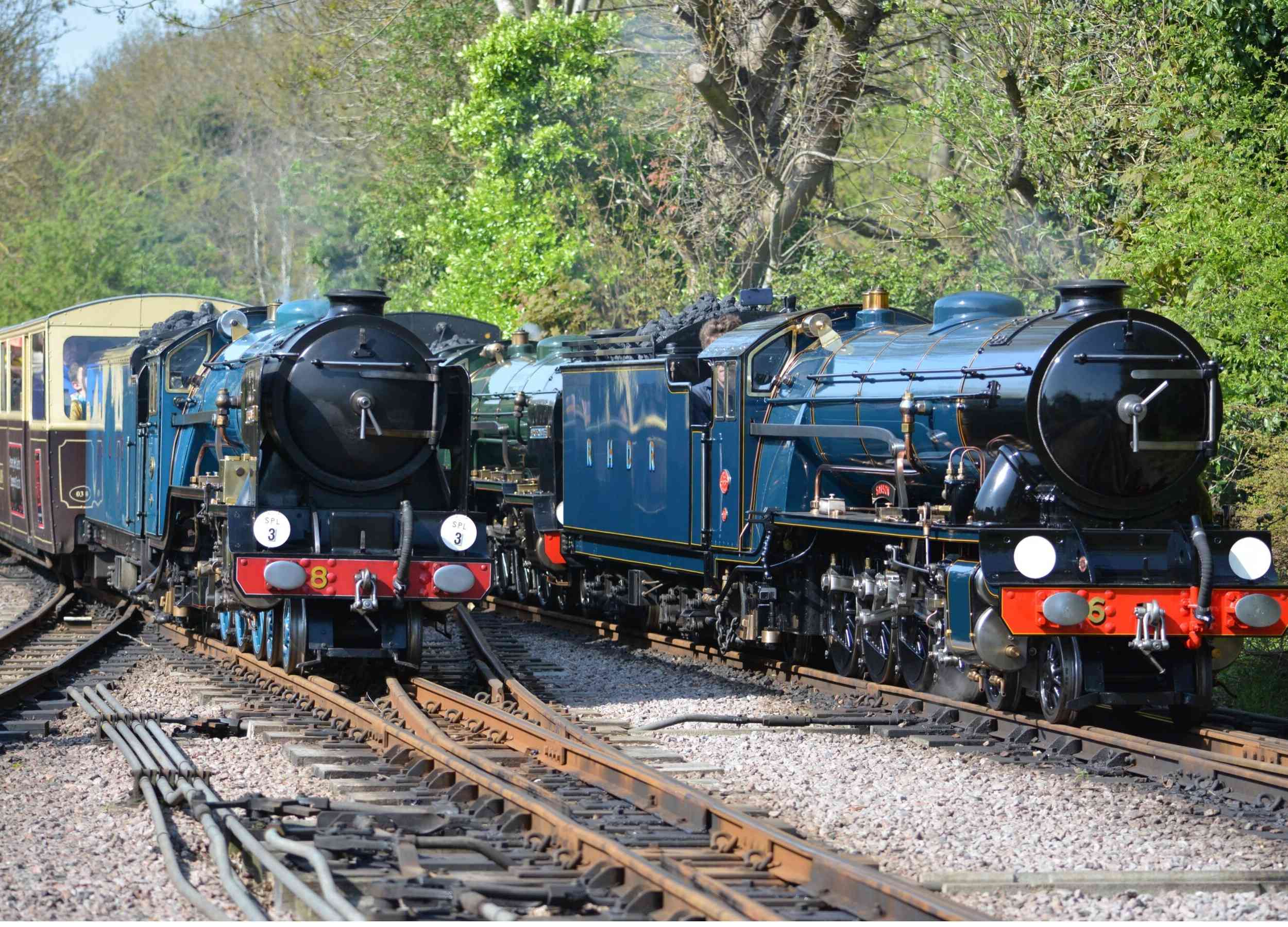 Special Events - RH&DR - Romney, Hythe and Dymchurch Railway